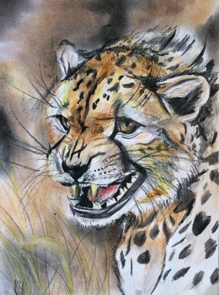 Wildlife Art Work | Kate on Conservation