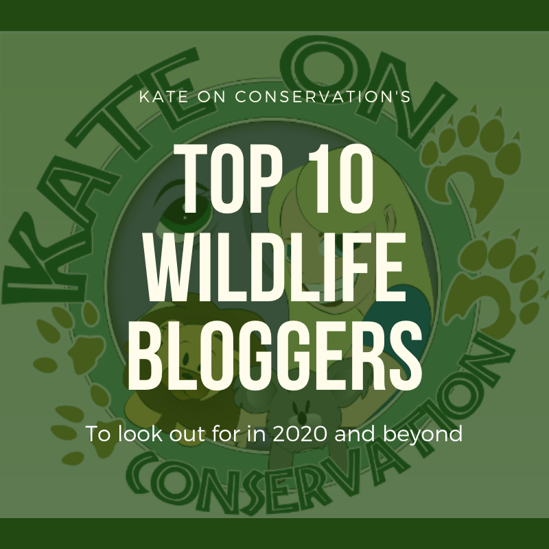 Top 10 wildlife bloggers to look out for in 2020... | Kate on Conservation