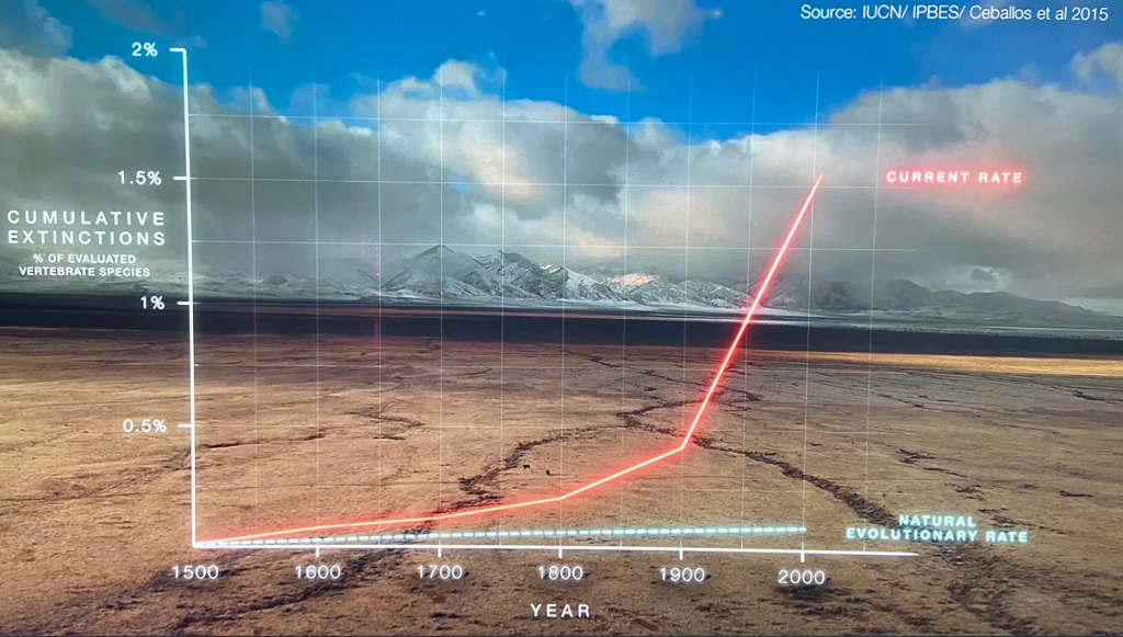 extinction-rate-graph | Kate on Conservation